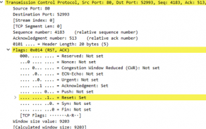 TCP basics – latebits.com